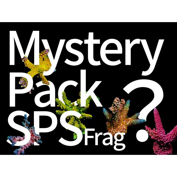 こちらの商品は「生体」です。送料と別途に生体梱包料500円を頂戴しております。必ずご購入前にお支払いについて内の「手数料について」および返品、交換、保証について内の「商品の保証について」をご確認の上、ご注文ください。