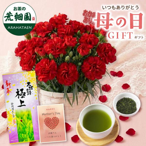 【発売日：2026年05月06日】2026年母の日ギフト「いつもありがとう」の感謝を込めて。一年に一度、この時期だけの贅沢なセットを大切なお母さんへお届けします。今年の母の日は旬の新茶と鮮やかなお花でゆったりとした時間を贈りませんか？どなた...