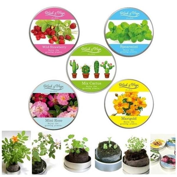 【商品紹介】人気の種類がノベルティ向けサイズで新登場！！簡易ラッピングも無償にてお受けします！種と説明書・土が入ってます。土は圧縮乾燥されてますので水分で膨らませて種を蒔くだけです。缶の中で栽培を楽しめますので場所も取らず簡単です。大きいサ...