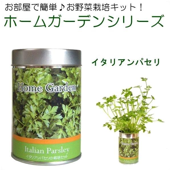 キッチンで育ったフレッシュハーブやミニトマトをちょっと摘んでサラダやお料理に！キッチンで育ててそのままお料理に使えちゃう！イタリアンパセリの栽培セットです。種と説明書・土・根腐れ防止の石が入ってます。土は圧縮乾燥されてますので水分で膨らませ...