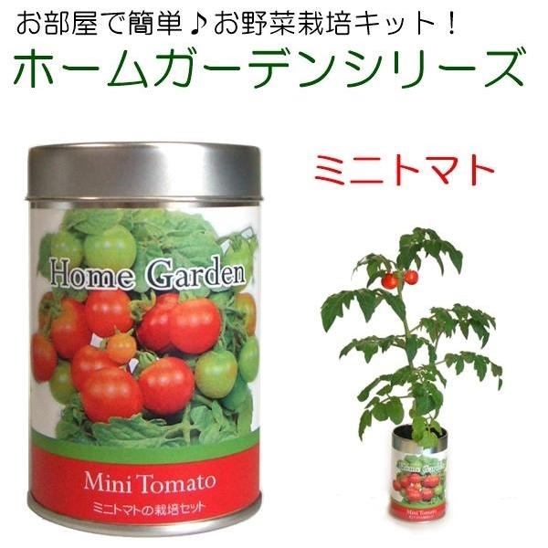 キッチンで育ったフレッシュハーブやミニトマトをちょっと摘んでサラダやお料理に！キッチンで育ててそのままお料理に使えちゃう！ミニトマトの栽培セットです。種と説明書・土・根腐れ防止の石が入ってます。土は圧縮乾燥されてますので水分で膨らませて種を...