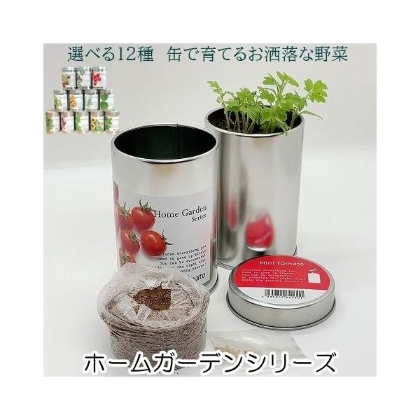 シンプルな１２種類の栽培キットです。お料理に使えるものや、お花を楽しんでいただけるものをご用意しました。木製のスプーンが付いているので、土いじりの後はプランツマーカーとしても使えます！※土は圧縮乾燥されてますので水分で膨らませて種を蒔くだけ...