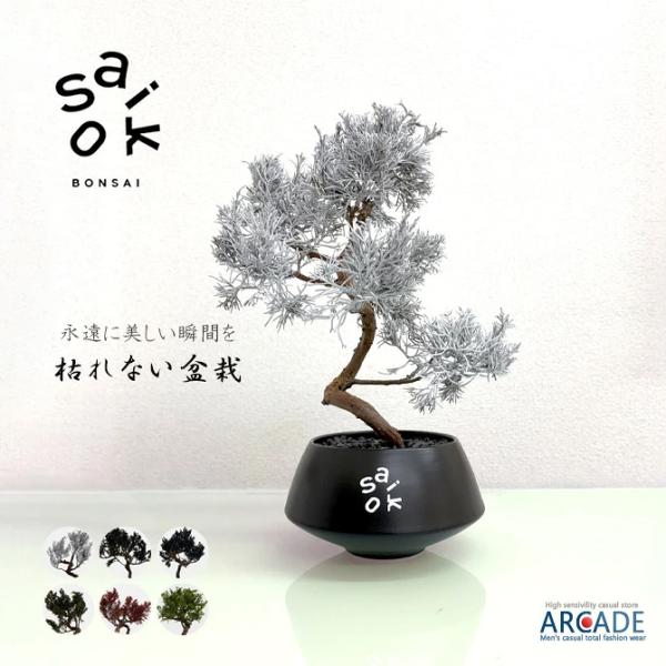 【発売日：2026年07月20日】■ブランド SAIKO盆栽■商品コメント永遠盆栽、枯れない、お手入れもいらない。文化と自然を飾る新しい盆栽saiko は、日本の職人が一つひとつ手掛ける「永遠に形を変えない盆栽」を展開するブランドです。忙し...