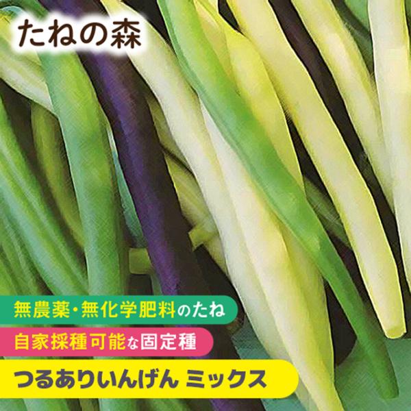 マメ科　約50粒入蒔き時：4月〜7月収　穫：6月〜11月味良く丈夫で作りやすいヨーロッパの伝統品種を3色ミックスしました。ガーデンや料理をぐっと彩り豊かに、楽しくしてくれます。2026年1月 発芽率 85%以上採種地 イタリア有効期限：発芽...