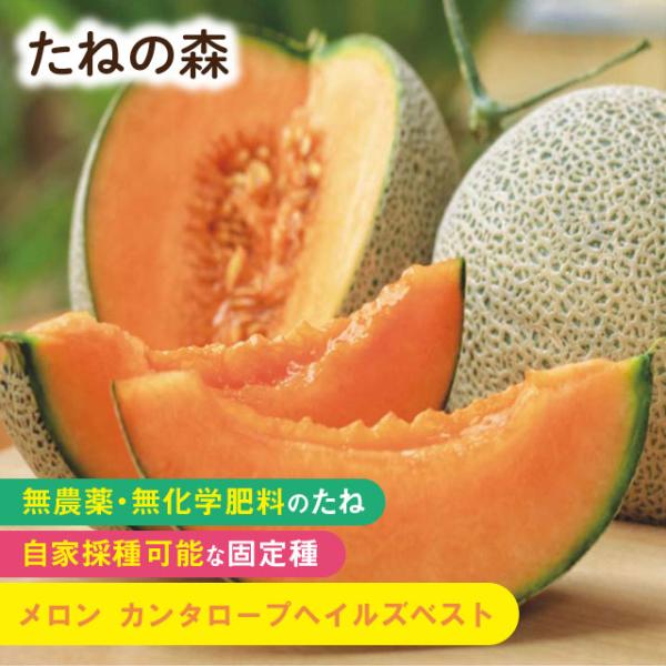 ウリ科　約20粒入蒔き時：3月下旬〜5月収　穫：7月〜9月重さ2kg〜3kgのオレンジ色の果肉はジューシーで甘み豊か！1920年代に日本人農業者がアメリカで作り出した品種が今なお健在！（栽培のポイント）日当たりと水はけが良く、有機質に富んだ...