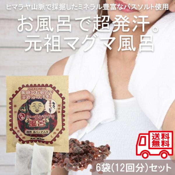 6袋12回分セット成分 ミネラル塩（マグマ塩）特性 太古３億８千万年前のヒマラヤ山脈から採掘される、ミネラルを豊富に含んだ自然の恵みと言われるバスソルトです。入浴により皮膚からその効果を実感できる自慢の逸品です。有酸素運動不足＆お肌に悩む方...