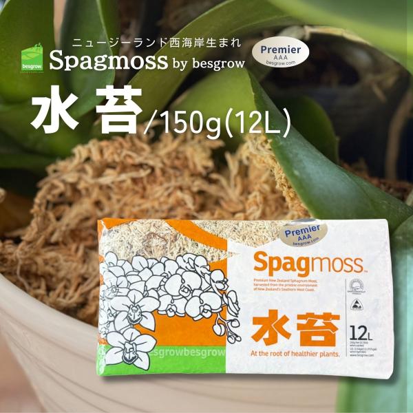 【besgrow Spagmoss（スパグモス）とは】ニュージーランド・サウスアイランドのウェストコーストに広がる、手つかずの湿地から持続可能な方法で収穫された、天然・再生可能な水苔です。100％天然素材で、化学薬品や添加物は一切不使用。パ...