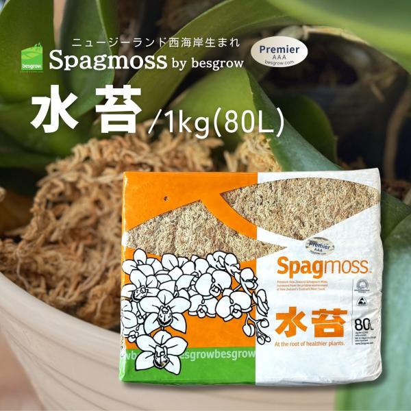 【besgrow Spagmoss（スパグモス）とは】ニュージーランド・サウスアイランドのウェストコーストに広がる、手つかずの湿地から持続可能な方法で収穫された、天然・再生可能な水苔です。100％天然素材で、化学薬品や添加物は一切不使用。パ...