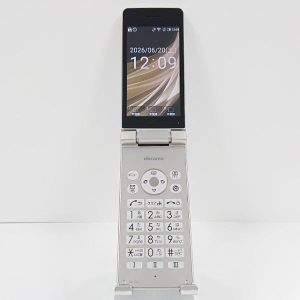 携帯電話 SH-02L SHARP シャープ ドコモ SIMロック解除〇 ゴールド