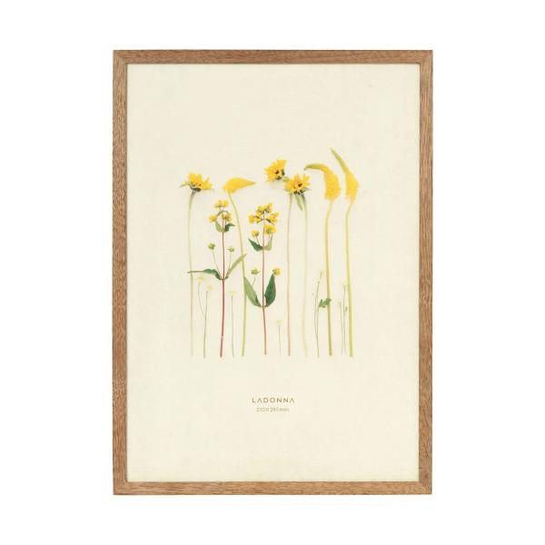 メーカー：ラドンナシリーズ：リビング型番：DF53-A4-BR外寸(mm)：226×313内寸(mm)：212×299窓寸(mm)：205×292主な材質：ウォールナット材写真サイズ：A4マットペーパー対応写真サイズ：ポストカード判、L判×...