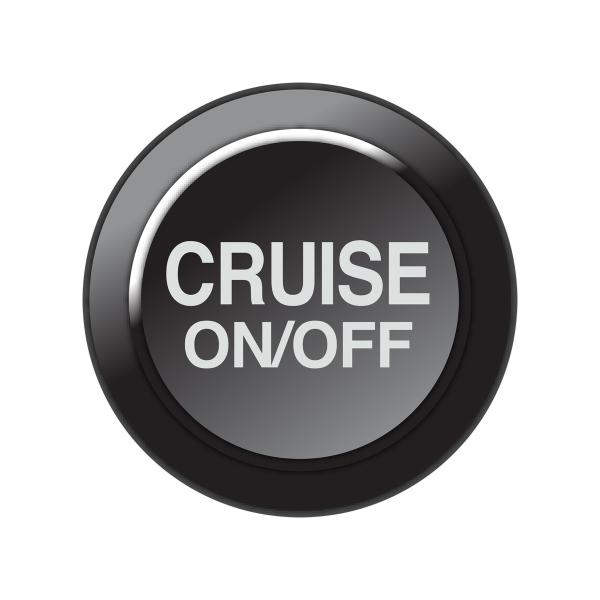 LINK ECU アクセサリーPDM #CAN Keypad Insert - Cruise on Off 101-0259 CANキーパッドインサート※こちらの商品は、特殊用品にて技術を要す商品です。従って、十分商品をご理解の上、ご購入下...