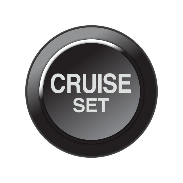 LINK ECU アクセサリーPDM #CAN Keypad Insert - Cruise Set 101-0260 CANキーパッドインサート※こちらの商品は、特殊用品にて技術を要す商品です。従って、十分商品をご理解の上、ご購入下さいま...