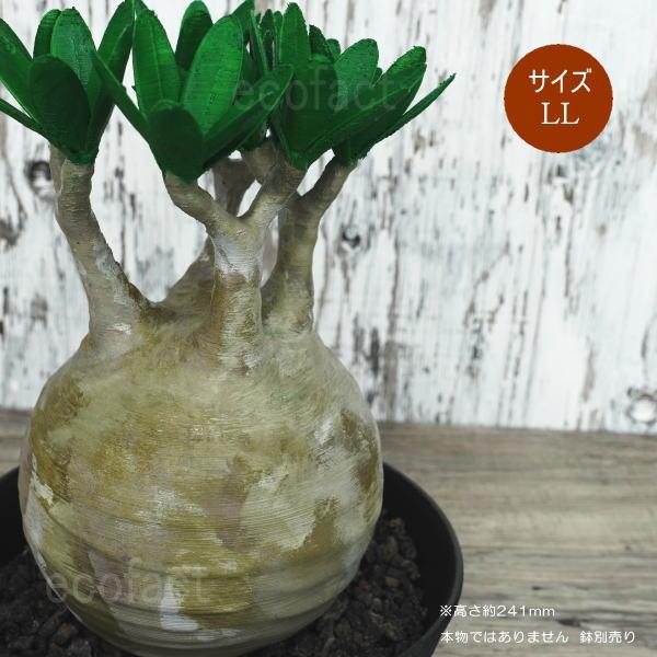 LLサイズサイズ：幅約150mm 高さ約241mm素材： PLA 樹脂 日本製※3Dプリンターの性質上　先端に糸状の樹脂が残っている場合があります。※樹脂のため直射日光・高温多湿の場所に置くのはお控えください。（特に車中など）※彩色された塗...