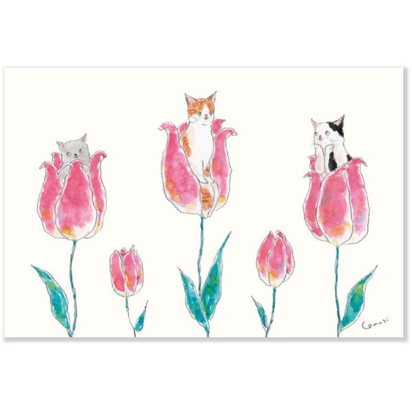 春を楽しむ、かわいい猫ちゃんたち。春のお便りにはもちろん、コレクションしたくなる可愛さです。猫/ネコ/チューリップ/グリーティング/ハガキ/イラスト/紙の厚み：★★☆(一般的な官製ハガキよりやや厚め)イラスト：トコロコムギ■サイズ：148×...