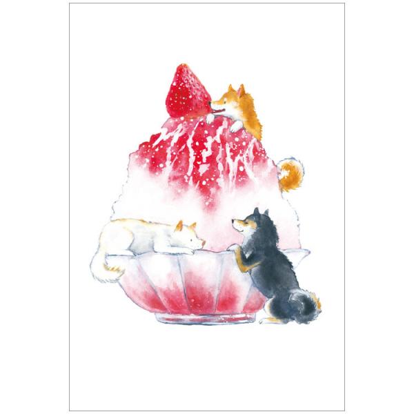 人気イラストレーター「村田なつか」さんの"しばいぬとおいしい夏"シリーズ。かわいい柴犬とおいしそうな夏の食べ物がみずみずしいタッチで描かれています。黒柴/かき氷/イチゴ/水彩イラスト/ハガキ/紙の厚み：★★☆(一般的な官製ハガキよりやや厚め...