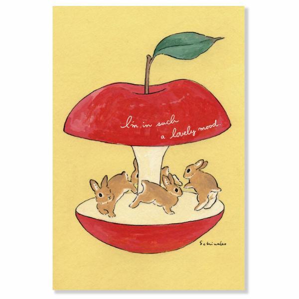 うさぎイラストレーターとして大人気のもりやましなこさんデザインのポストカード。贈るのはもちろん、コレクションしてお部屋に飾るのもおすすめです。イラスト：森山標子紙の厚み：★★☆(一般的な官製ハガキよりやや厚め)リンゴ/うさぎ/■サイズ：10...