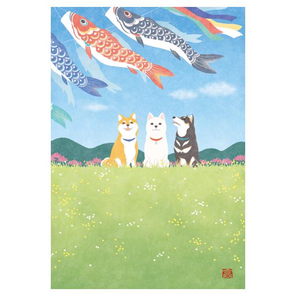 当店のオリジナルポストカードコレクション。お部屋に飾っても可愛い、動物たちのイラストカードです。堤防に座る柴犬たちの頭上に大きな鯉のぼりが泳ぐ、春らしいデザイン。春のお便りやコレクションに。柴犬/白柴/黒柴/こどもの日/鯉のぼり/風景/ハガ...