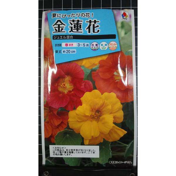 合計350円以下でのご注文は、申し訳ありませんがお受けできなくなっております。在庫切れ防止のため、実際の在庫数より販売可能数を少なく設定しております。まとまった数量をご希望の場合は、お問い合わせください。いろいろな品種を、よりどり３袋以上で...