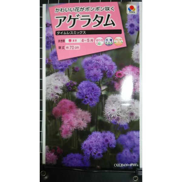 合計350円以下でのご注文は、申し訳ありませんがお受けできなくなっております。在庫切れ防止のため、実際の在庫数より販売可能数を少なく設定しております。まとまった数量をご希望の場合は、お問い合わせください。いろいろな品種を、よりどり３袋以上で...