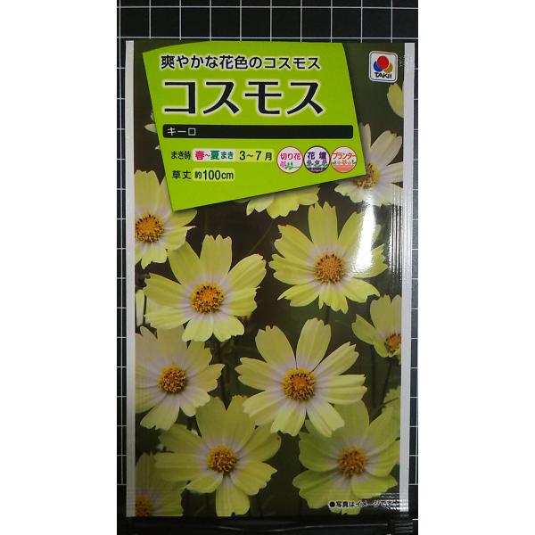 合計350円以下でのご注文は、申し訳ありませんがお受けできなくなっております。在庫切れ防止のため、実際の在庫数より販売可能数を少なく設定しております。まとまった数量をご希望の場合は、お問い合わせください。いろいろな品種を、よりどり３袋以上で...