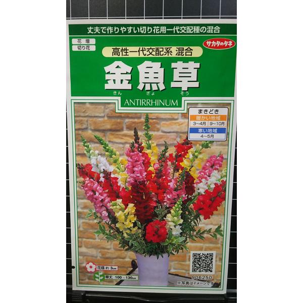 合計350円以下でのご注文は、申し訳ありませんがお受けできなくなっております。在庫切れ防止のため、実際の在庫数より販売可能数を少なく設定しております。まとまった数量をご希望の場合は、お問い合わせください。いろいろな品種を、よりどり３袋以上で...