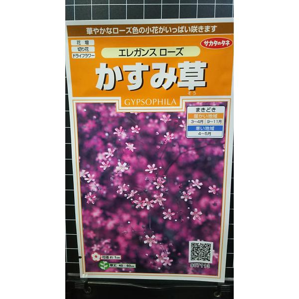 合計350円以下でのご注文は、申し訳ありませんがお受けできなくなっております。在庫切れ防止のため、実際の在庫数より販売可能数を少なく設定しております。まとまった数量をご希望の場合は、お問い合わせください。いろいろな品種を、よりどり３袋以上で...