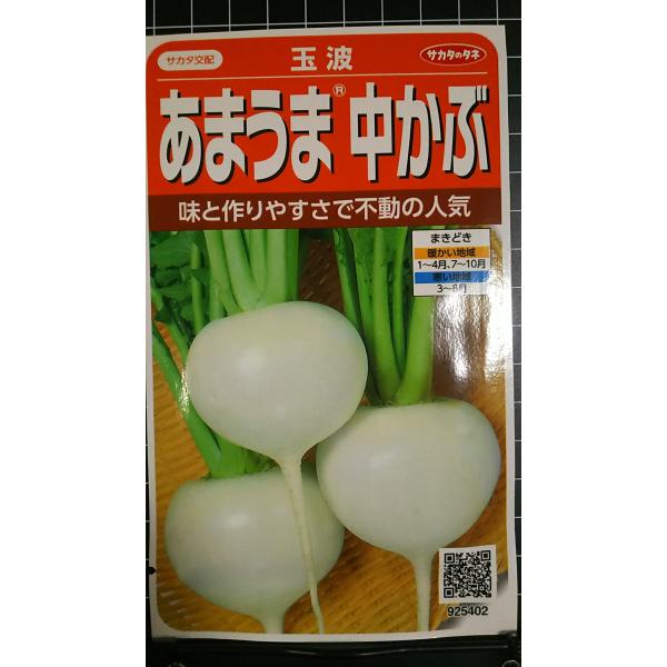 合計350円以下でのご注文は、申し訳ありませんがお受けできなくなっております。在庫切れ防止のため、実際の在庫数より販売可能数を少なく設定しております。まとまった数量をご希望の場合は、お問い合わせください。いろいろな品種を、よりどり３袋以上で...