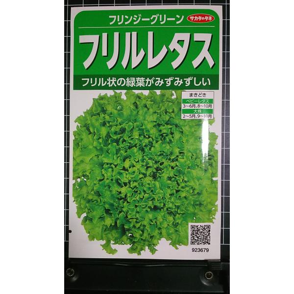 合計350円以下でのご注文は、申し訳ありませんがお受けできなくなっております。在庫切れ防止のため、実際の在庫数より販売可能数を少なく設定しております。まとまった数量をご希望の場合は、お問い合わせください。いろいろな品種を、よりどり３袋以上で...