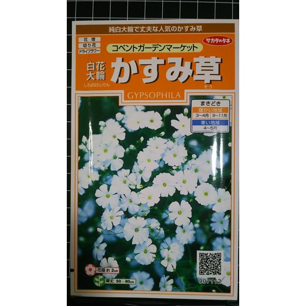 合計350円以下でのご注文は、申し訳ありませんがお受けできなくなっております。在庫切れ防止のため、実際の在庫数より販売可能数を少なく設定しております。まとまった数量をご希望の場合は、お問い合わせください。いろいろな品種を、よりどり３袋以上で...