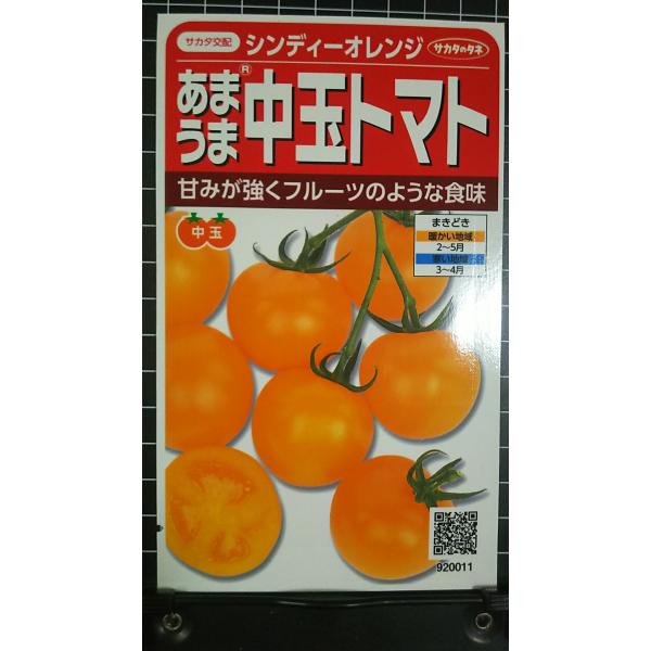 合計350円以下でのご注文は、申し訳ありませんがお受けできなくなっております。在庫切れ防止のため、実際の在庫数より販売可能数を少なく設定しております。まとまった数量をご希望の場合は、お問い合わせください。いろいろな品種を、よりどり３袋以上で...