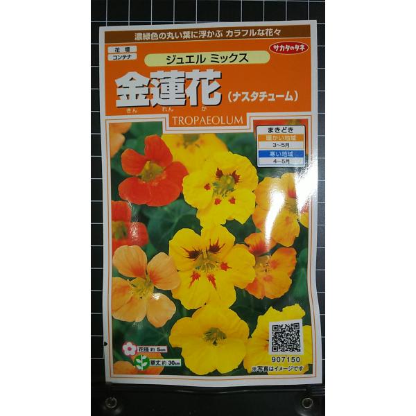 合計350円以下でのご注文は、申し訳ありませんがお受けできなくなっております。在庫切れ防止のため、実際の在庫数より販売可能数を少なく設定しております。まとまった数量をご希望の場合は、お問い合わせください。いろいろな品種を、よりどり３袋以上で...