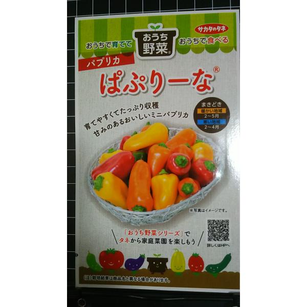 合計350円以下でのご注文は、申し訳ありませんがお受けできなくなっております。在庫切れ防止のため、実際の在庫数より販売可能数を少なく設定しております。まとまった数量をご希望の場合は、お問い合わせください。いろいろな品種を、よりどり３袋以上で...