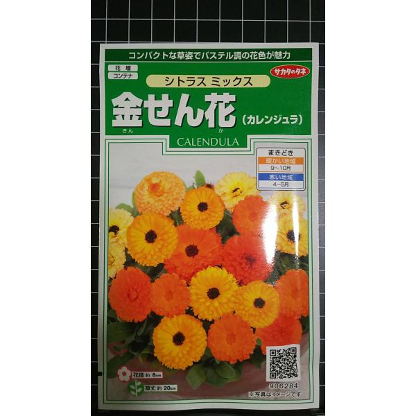合計350円以下でのご注文は、申し訳ありませんがお受けできなくなっております。在庫切れ防止のため、実際の在庫数より販売可能数を少なく設定しております。まとまった数量をご希望の場合は、お問い合わせください。いろいろな品種を、よりどり３袋以上で...
