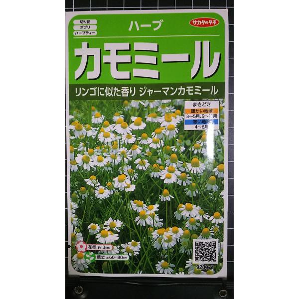 合計350円以下でのご注文は、申し訳ありませんがお受けできなくなっております。在庫切れ防止のため、実際の在庫数より販売可能数を少なく設定しております。まとまった数量をご希望の場合は、お問い合わせください。いろいろな品種を、よりどり３袋以上で...
