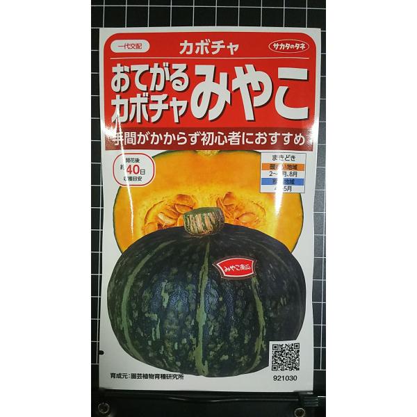 合計350円以下でのご注文は、申し訳ありませんがお受けできなくなっております。在庫切れ防止のため、実際の在庫数より販売可能数を少なく設定しております。まとまった数量をご希望の場合は、お問い合わせください。いろいろな品種を、よりどり３袋以上で...