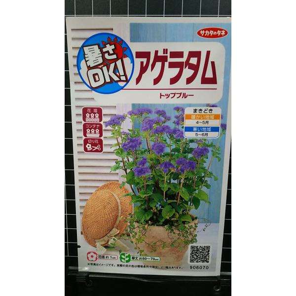 合計350円以下でのご注文は、申し訳ありませんがお受けできなくなっております。在庫切れ防止のため、実際の在庫数より販売可能数を少なく設定しております。まとまった数量をご希望の場合は、お問い合わせください。いろいろな品種を、よりどり３袋以上で...