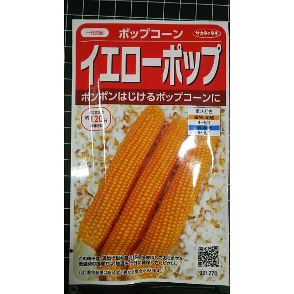 合計350円以下でのご注文は、申し訳ありませんがお受けできなくなっております。在庫切れ防止のため、実際の在庫数より販売可能数を少なく設定しております。まとまった数量をご希望の場合は、お問い合わせください。いろいろな品種を、よりどり３袋以上で...