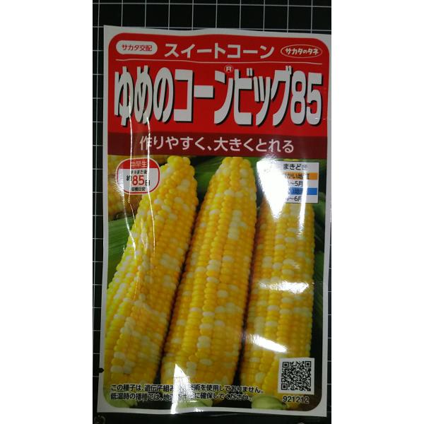 合計350円以下でのご注文は、申し訳ありませんがお受けできなくなっております。在庫切れ防止のため、実際の在庫数より販売可能数を少なく設定しております。まとまった数量をご希望の場合は、お問い合わせください。いろいろな品種を、よりどり３袋以上で...