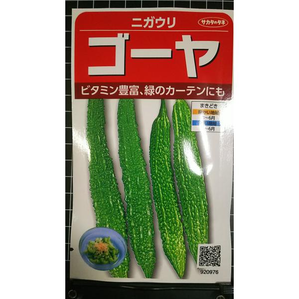 合計350円以下でのご注文は、申し訳ありませんがお受けできなくなっております。在庫切れ防止のため、実際の在庫数より販売可能数を少なく設定しております。まとまった数量をご希望の場合は、お問い合わせください。いろいろな品種を、よりどり３袋以上で...