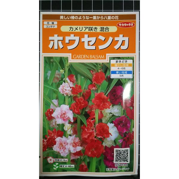合計350円以下でのご注文は、申し訳ありませんがお受けできなくなっております。在庫切れ防止のため、実際の在庫数より販売可能数を少なく設定しております。まとまった数量をご希望の場合は、お問い合わせください。いろいろな品種を、よりどり３袋以上で...
