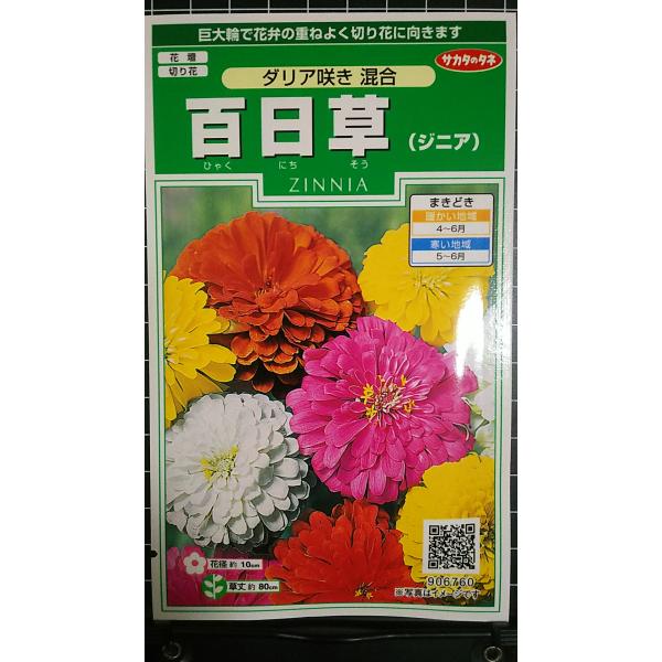 最低注文金額は合計350円以上から承ります。まとまった数量をご希望の場合、他モールの在庫を確認し、在庫数を移行できる場合がございます。お気軽にお問い合わせください。いろいろな品種を3袋以上お買い上げで、割引クーポンがご利用いただけます！必ず...