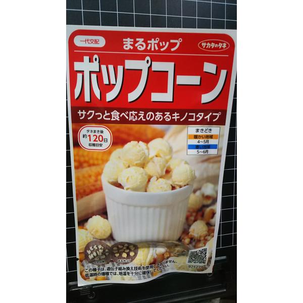 合計350円以下でのご注文は、申し訳ありませんがお受けできなくなっております。在庫切れ防止のため、実際の在庫数より販売可能数を少なく設定しております。まとまった数量をご希望の場合は、お問い合わせください。いろいろな品種を、よりどり３袋以上で...