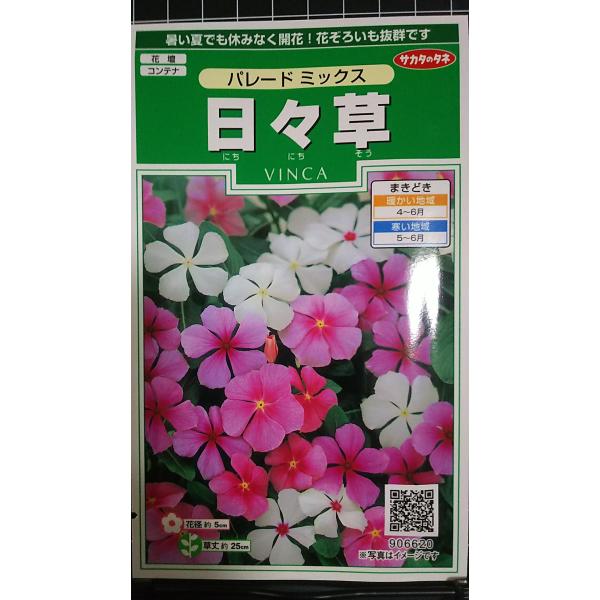 合計350円以下でのご注文は、申し訳ありませんがお受けできなくなっております。在庫切れ防止のため、実際の在庫数より販売可能数を少なく設定しております。まとまった数量をご希望の場合は、お問い合わせください。いろいろな品種を、よりどり３袋以上で...