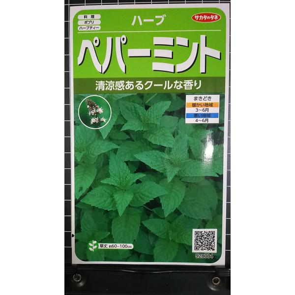 合計350円以下でのご注文は、申し訳ありませんがお受けできなくなっております。在庫切れ防止のため、実際の在庫数より販売可能数を少なく設定しております。まとまった数量をご希望の場合は、お問い合わせください。いろいろな品種を、よりどり３袋以上で...