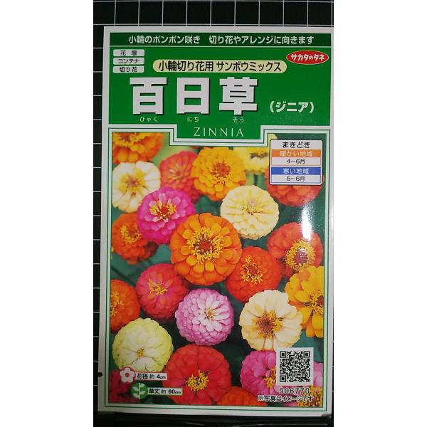 合計350円以下でのご注文は、申し訳ありませんがお受けできなくなっております。在庫切れ防止のため、実際の在庫数より販売可能数を少なく設定しております。まとまった数量をご希望の場合は、お問い合わせください。いろいろな品種を、よりどり３袋以上で...
