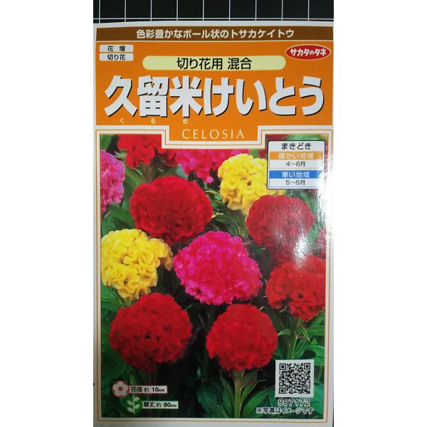 合計350円以下でのご注文は、申し訳ありませんがお受けできなくなっております。在庫切れ防止のため、実際の在庫数より販売可能数を少なく設定しております。まとまった数量をご希望の場合は、お問い合わせください。いろいろな品種を、よりどり３袋以上で...