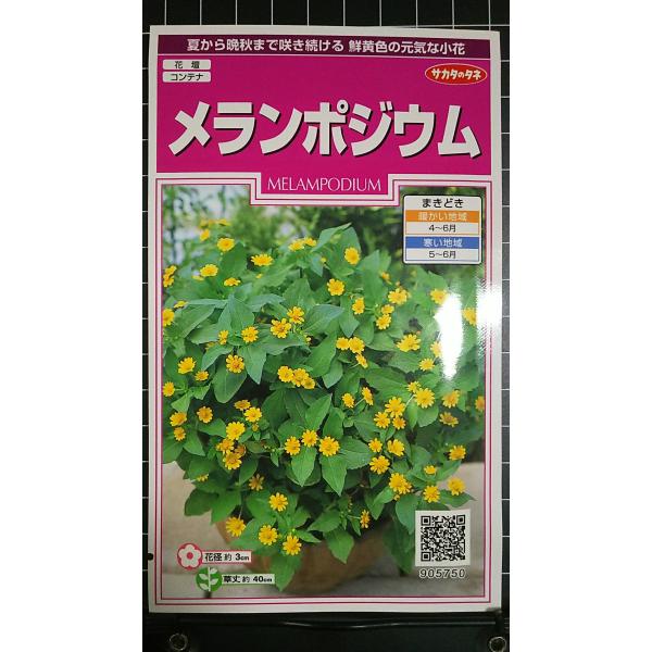 合計350円以下でのご注文は、申し訳ありませんがお受けできなくなっております。在庫切れ防止のため、実際の在庫数より販売可能数を少なく設定しております。まとまった数量をご希望の場合は、お問い合わせください。いろいろな品種を、よりどり３袋以上で...