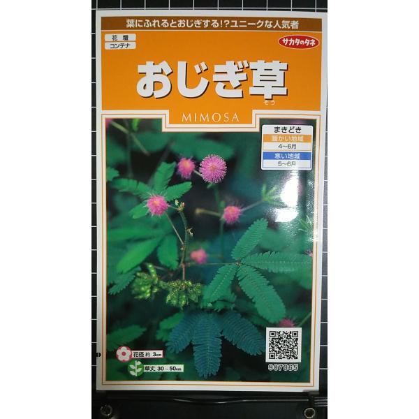 合計350円以下でのご注文は、申し訳ありませんがお受けできなくなっております。在庫切れ防止のため、実際の在庫数より販売可能数を少なく設定しております。まとまった数量をご希望の場合は、お問い合わせください。いろいろな品種を、よりどり３袋以上で...