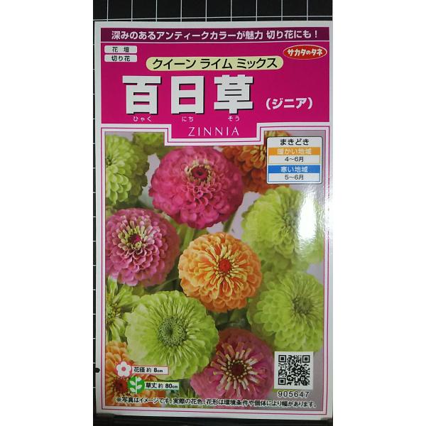最低注文金額：合計350円以上から承ります。まとまった数量をご希望の場合、他モールの在庫を確認し、在庫数を移行できる場合がございます。お気軽にお問い合わせください。いろいろな品種を3袋以上お買い上げで、割引クーポンがご利用いただけます！必ず...