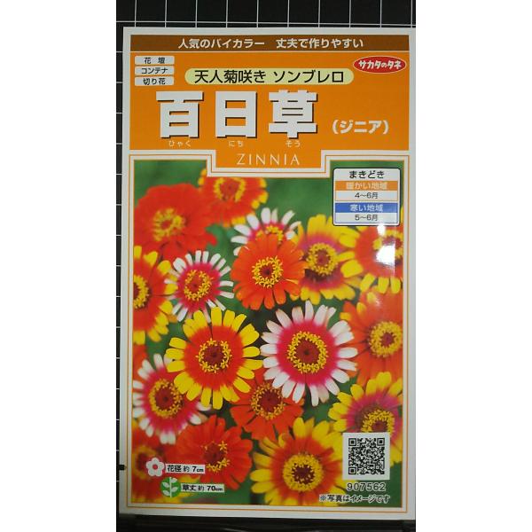 合計350円以下でのご注文は、申し訳ありませんがお受けできなくなっております。在庫切れ防止のため、実際の在庫数より販売可能数を少なく設定しております。まとまった数量をご希望の場合は、お問い合わせください。いろいろな品種を、よりどり３袋以上で...